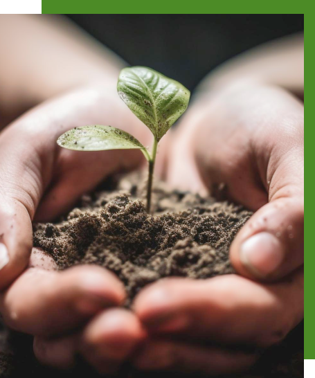 About Us – Mountain River Partners